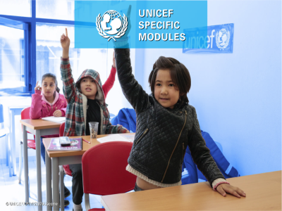 Summary of Manager Support Programme - UNICEF-specific modules