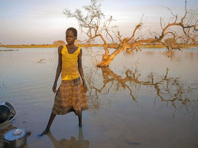 Summary of ICSC through the humanitarian program cycle. Stage 4 ...