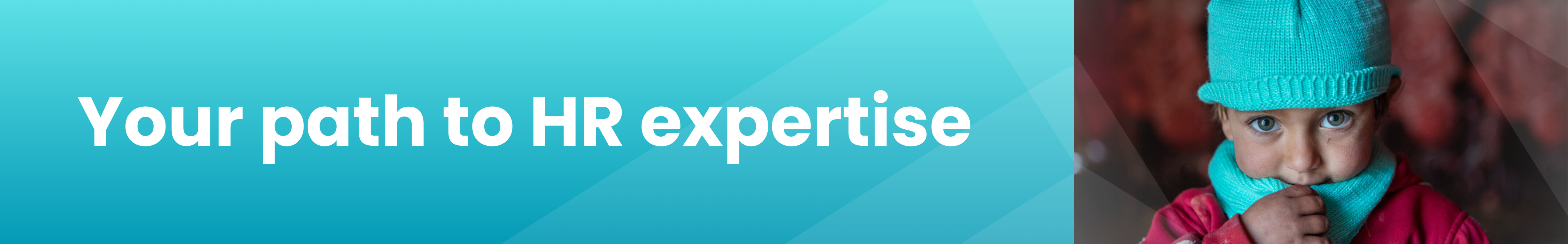 Summary of Global HR Learning Path