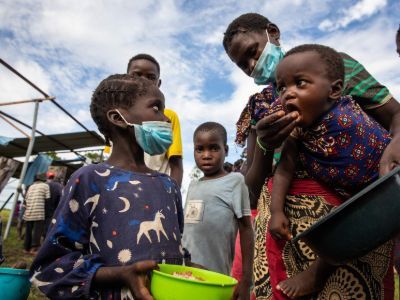 Summary of AAP and Inclusive Decision Making Within the AoR/ Cluster ...